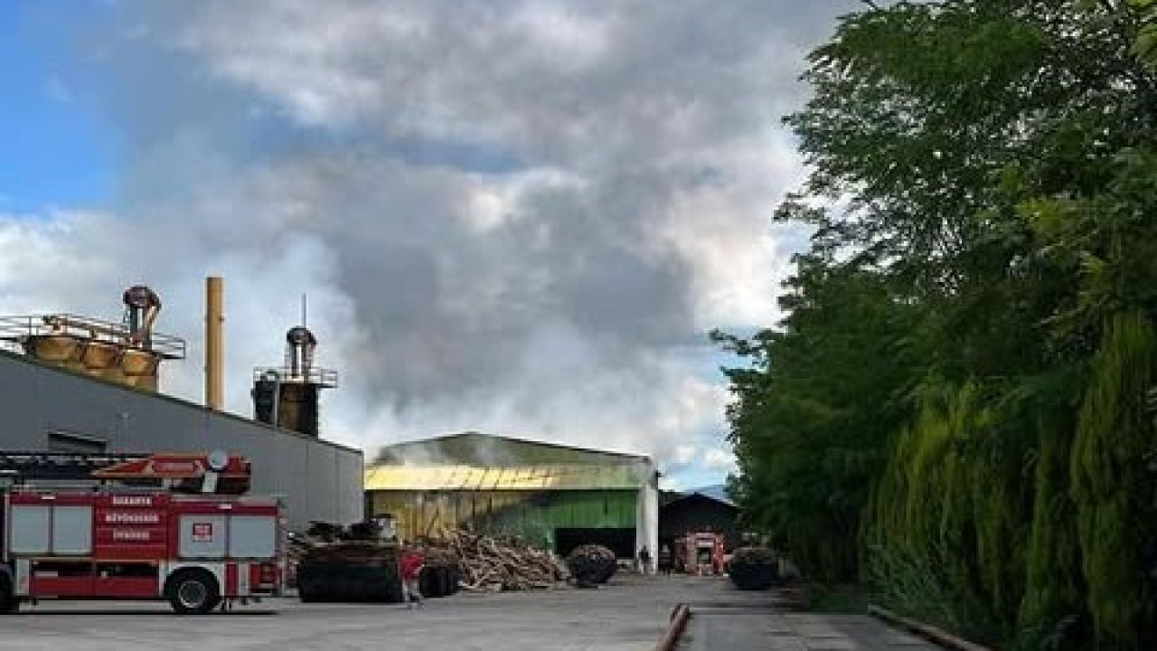 Palet fabrikasında yangın - Çorlu Haber